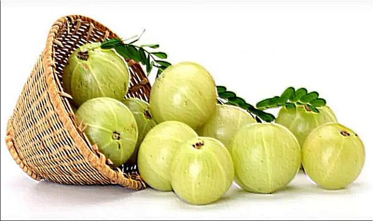 Health Benefits of Amla - Key To Perfect Health